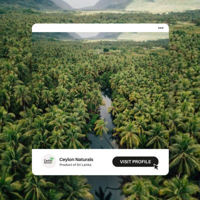 Premium Bulk Organic Coconut Oil Supplier - Wholesale Prices